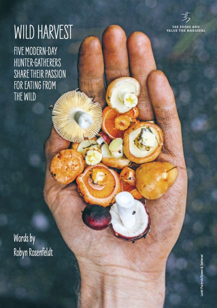 Pip Magazine - Australian Permaculture #6 - The Home Issue