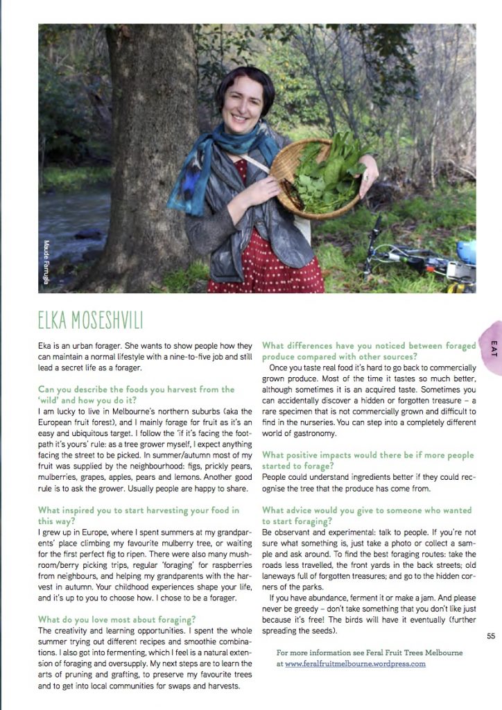 Pip Magazine - Australian Permaculture #6 - The Home Issue
