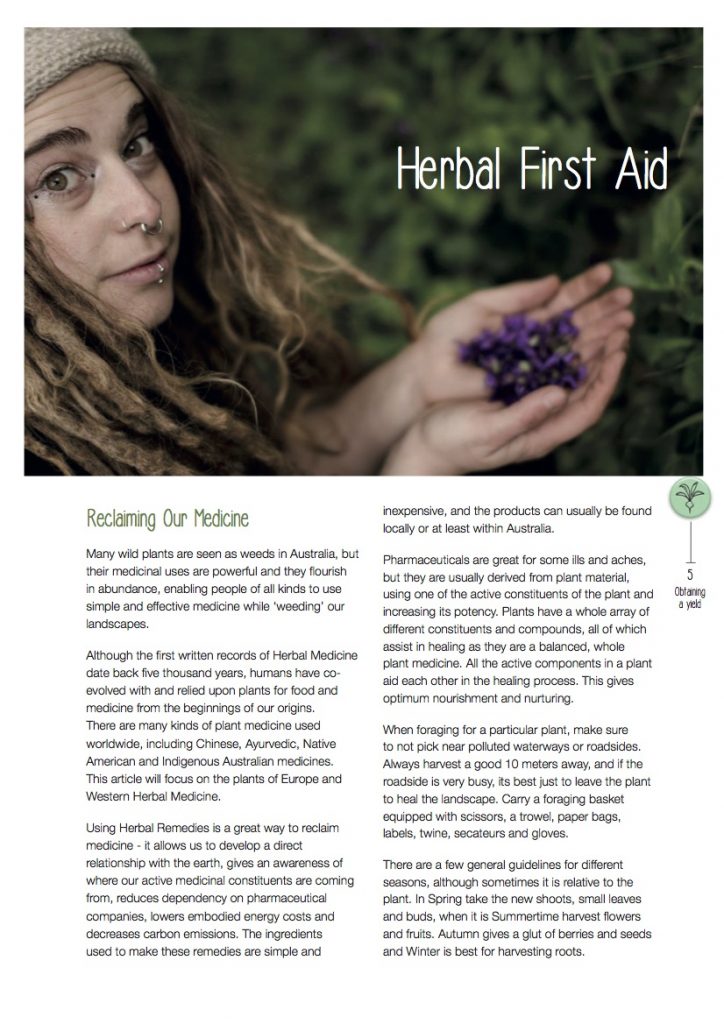 Pip Magazine - Australian Permaculture #1. The Duck Issue.