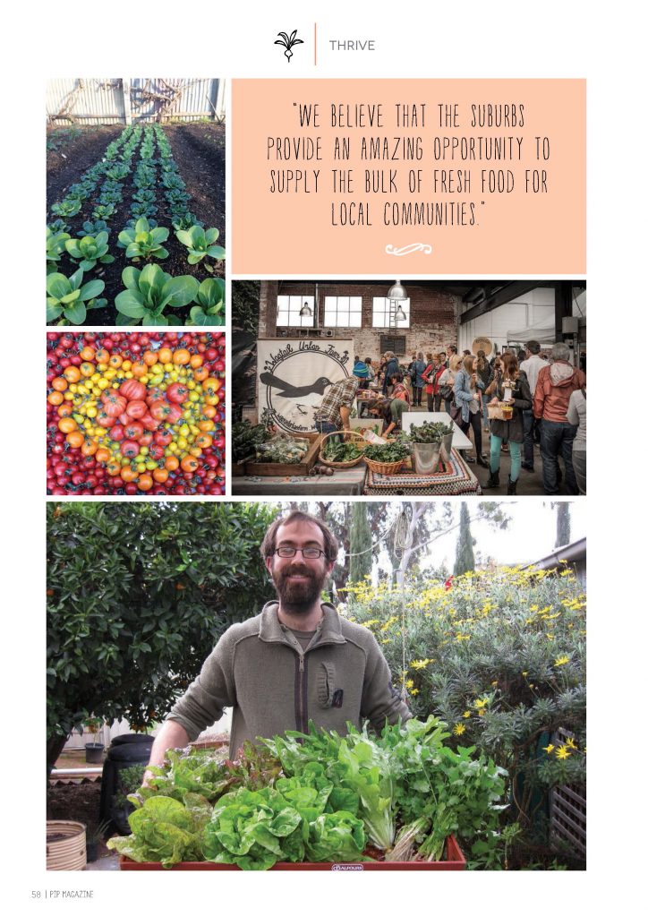 Pip Magazine - Australian Permaculture #3. The Mushroom Issue.