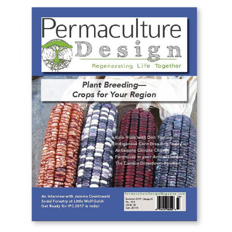 Permaculture Design Magazine Issue: 106 - The Doorstep