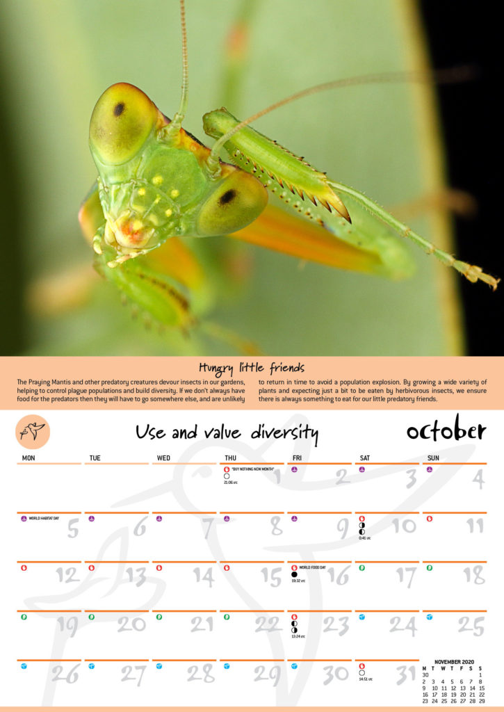 2020 Permaculture Calendar - with moon planting guide