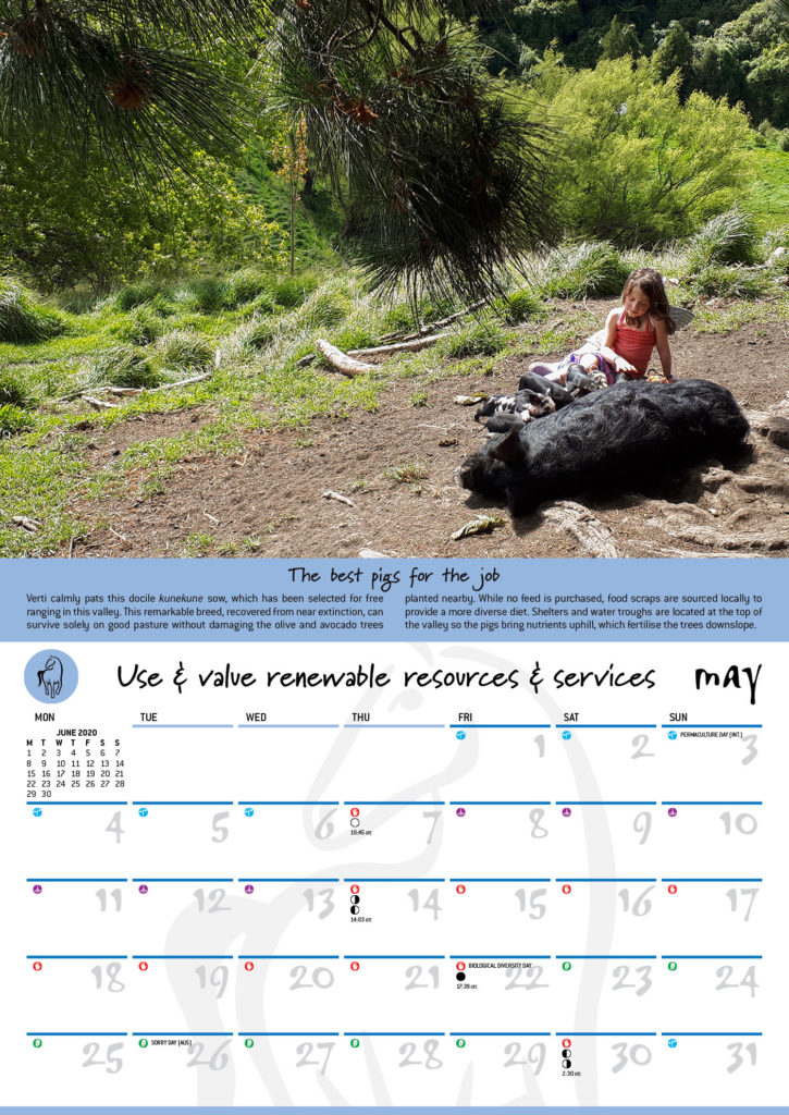 2020 Permaculture Calendar - with moon planting guide