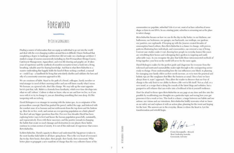 RetroSuburbia: the downshifter’s guide to a resilient future