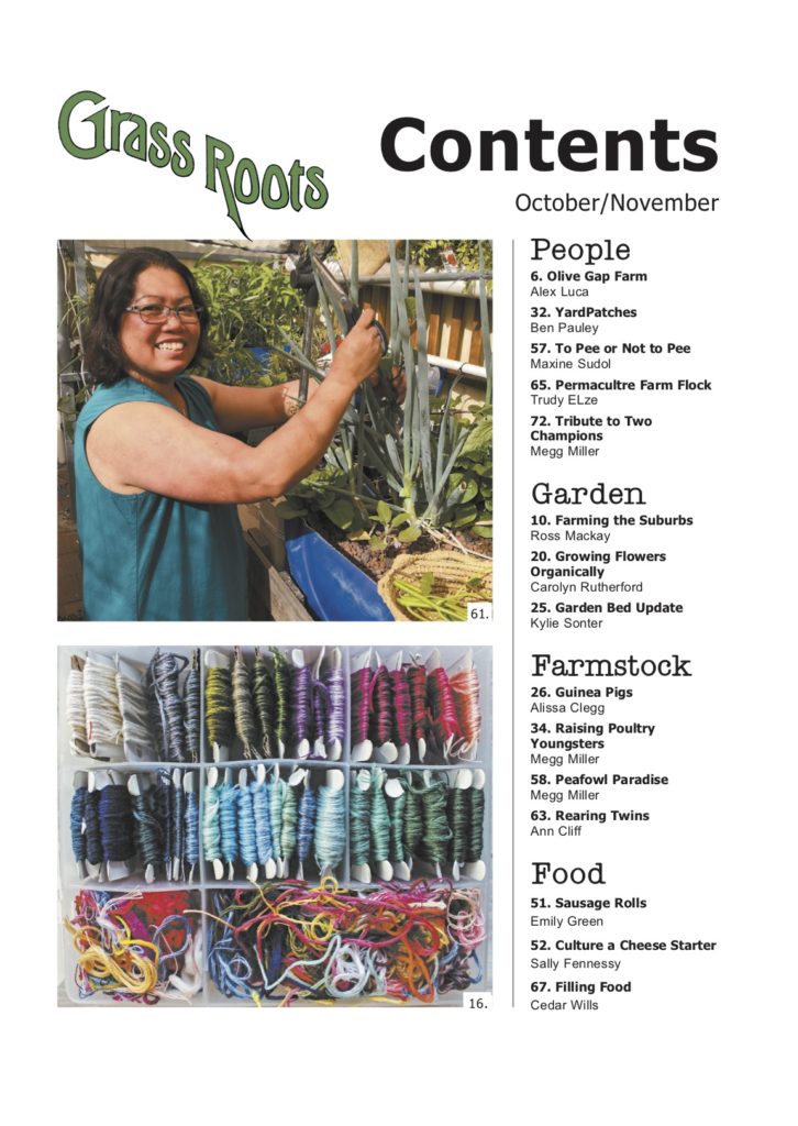 Grass Roots Magazine No. 255 - October 2019