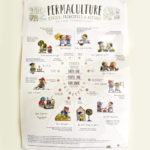 Permaculture Action Cards - Permaculture Principles Australian Store