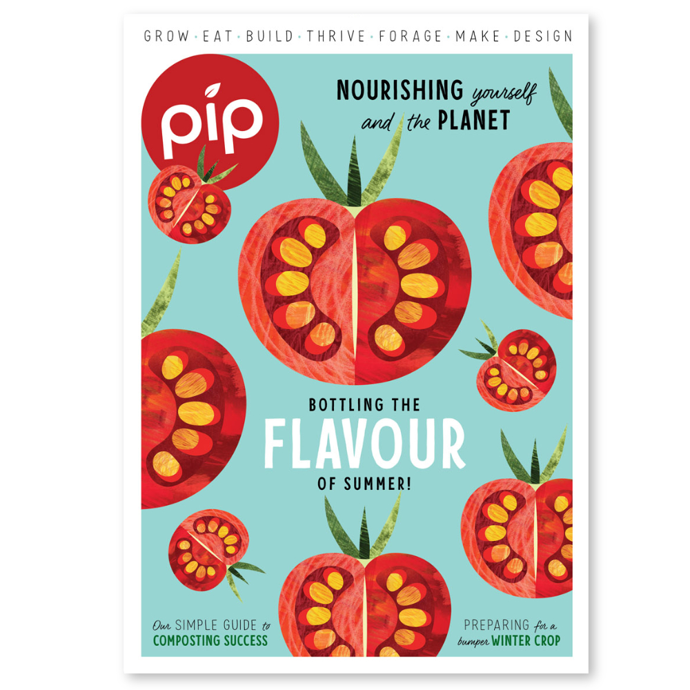 Pip Magazine: Australian Permaculture - Issue: 27